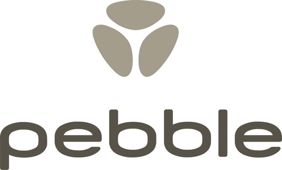 Pebble to Unveil the Pebble Flow Production-Intent Design During ...