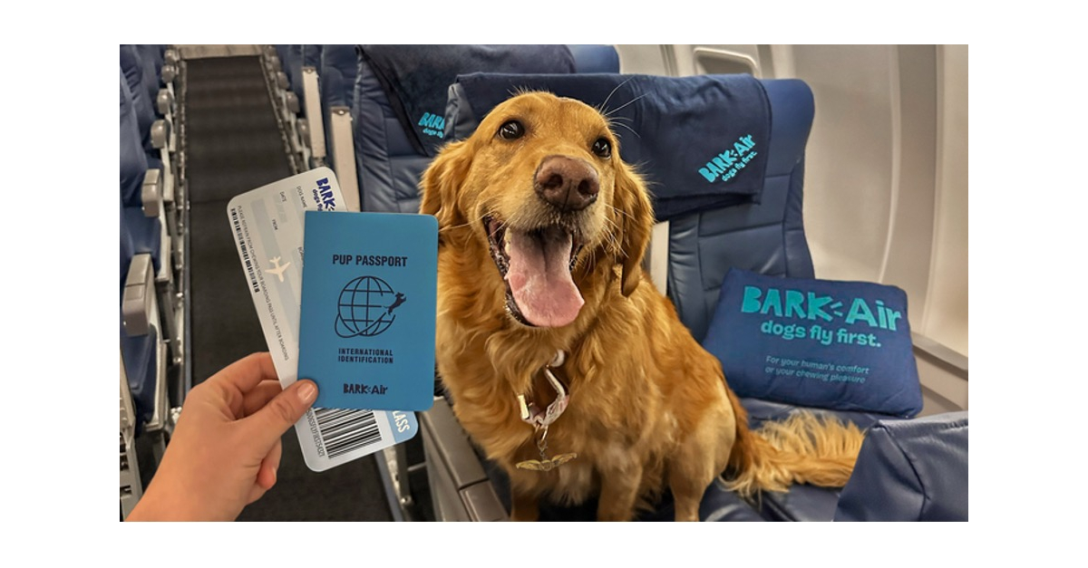 BARK Air Introduces Select Flights on Larger Planes with Lower Fares ...