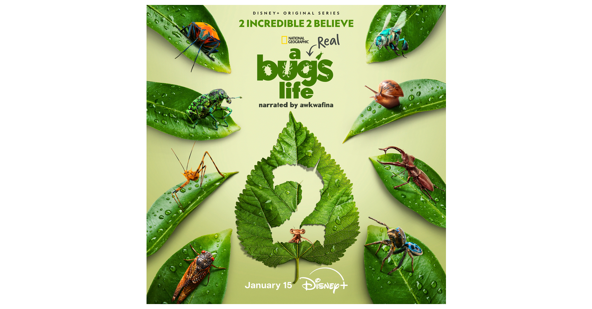 Get Ready to Bug Out! ‘A Real Bug’s Life,’ the Disney+ Original Series ...