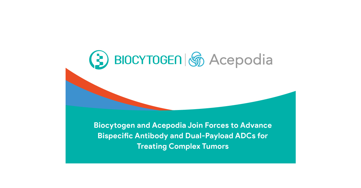 Biocytogen et Acepodia s’associent pour faire progresser les anticorps ...