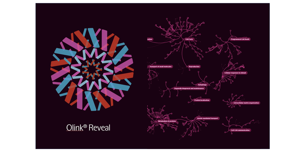 Olink® Reveal Seamlessly Connects Genomics and Proteomics, Empowering ...