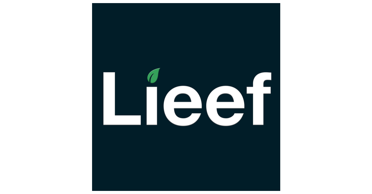 Lieef Investment Management Announces Establishment of Inaugural Fund ...