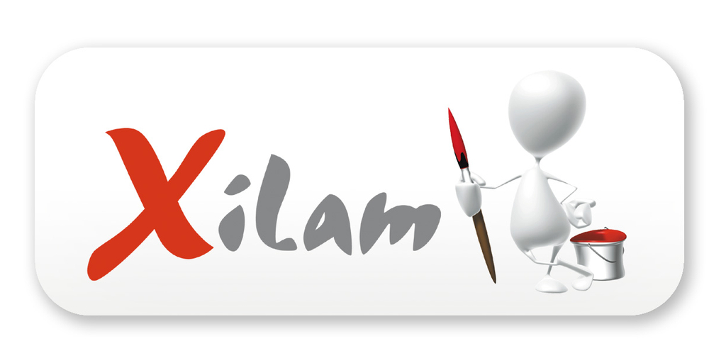 Xilam Animation: 2024 Full-Year Revenue