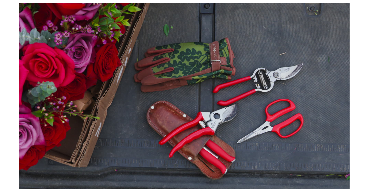 ADDING MULTIMEDIA Corona® Tools Celebrates Its Role as The Official Red ...