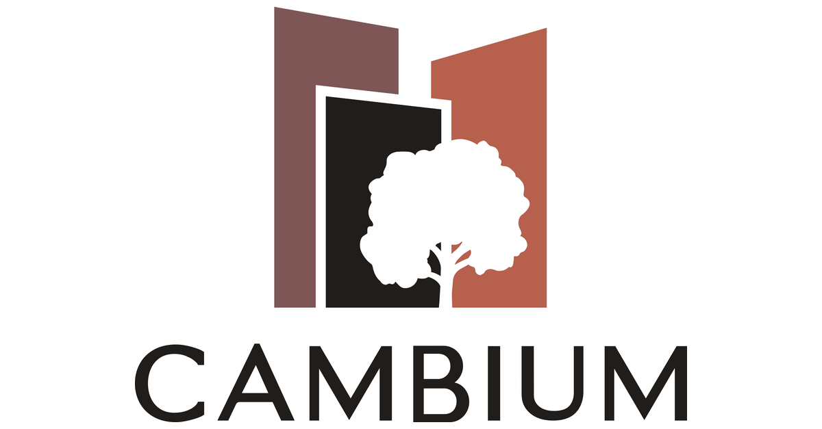 Cambium Secures $18.5 Million Series A, Expands into Mass Timber to ...