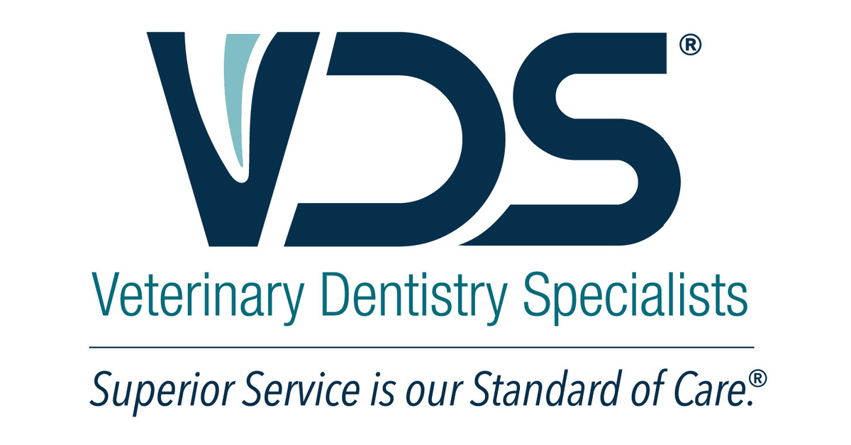 Veterinary Dentistry Specialists® Opens New Practice Near the Twin ...