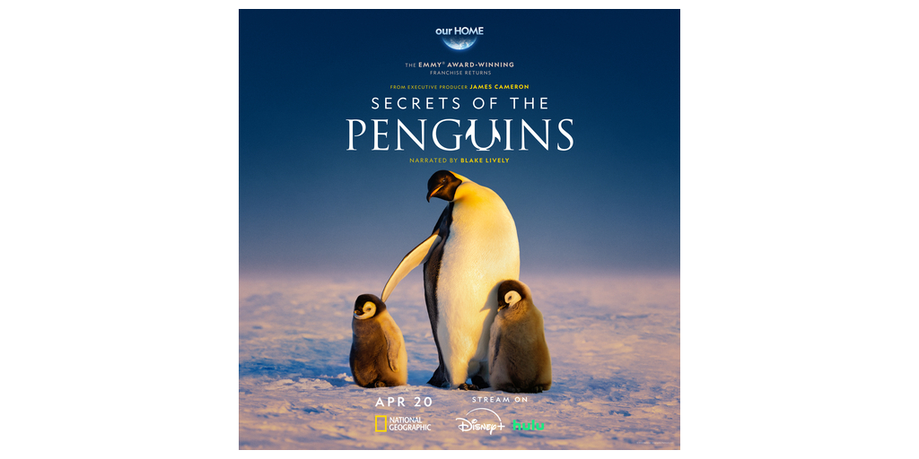National Geographic Releases New Trailer for SECRETS OF THE PENGUINS ...