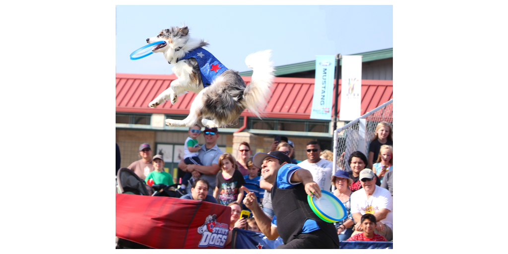 All-Star Stunt Dogs Show to Headline Brownie’s Mutt Strut on May 3rd