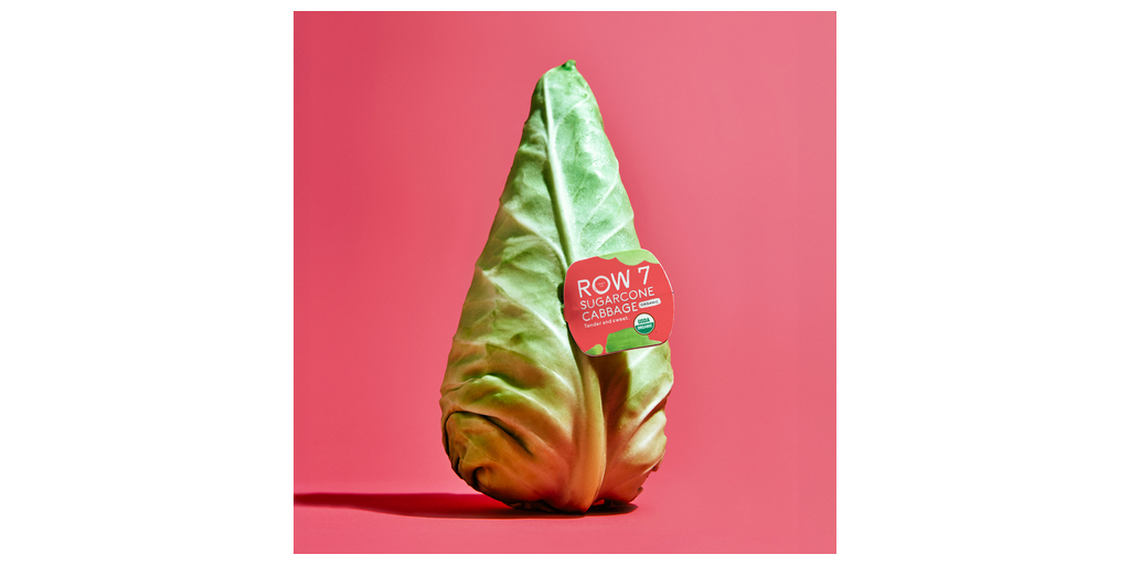 Row 7 Seed Company Brings Sugarcone Cabbage to Whole Foods Market This Fall