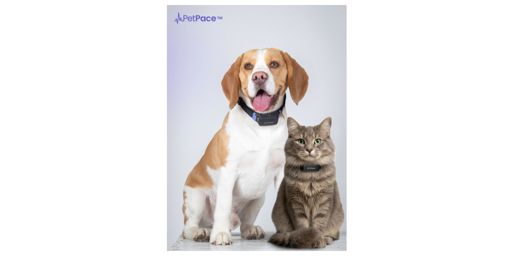 PetPace™ Launches World's First AI Smart Collar that Includes 24/7 ...