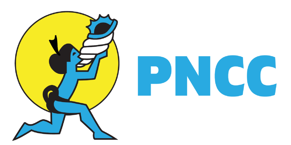 PNCC选择LotusFlare为其全新4G/5G独立组网提供数字业务支撑系统和商务平台